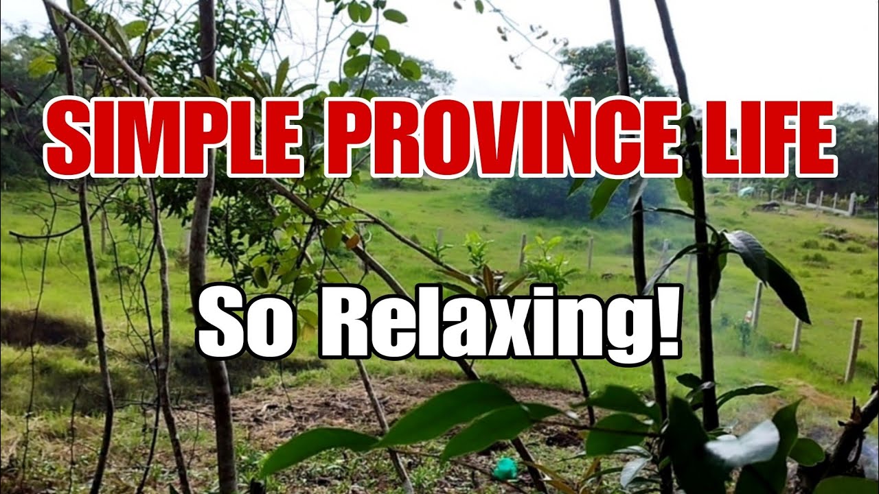 SIMPLE PROVINCE LIFE, STRESS-FREE LIFE, GARDEN LIFE SA KABUKIRAN!# ...