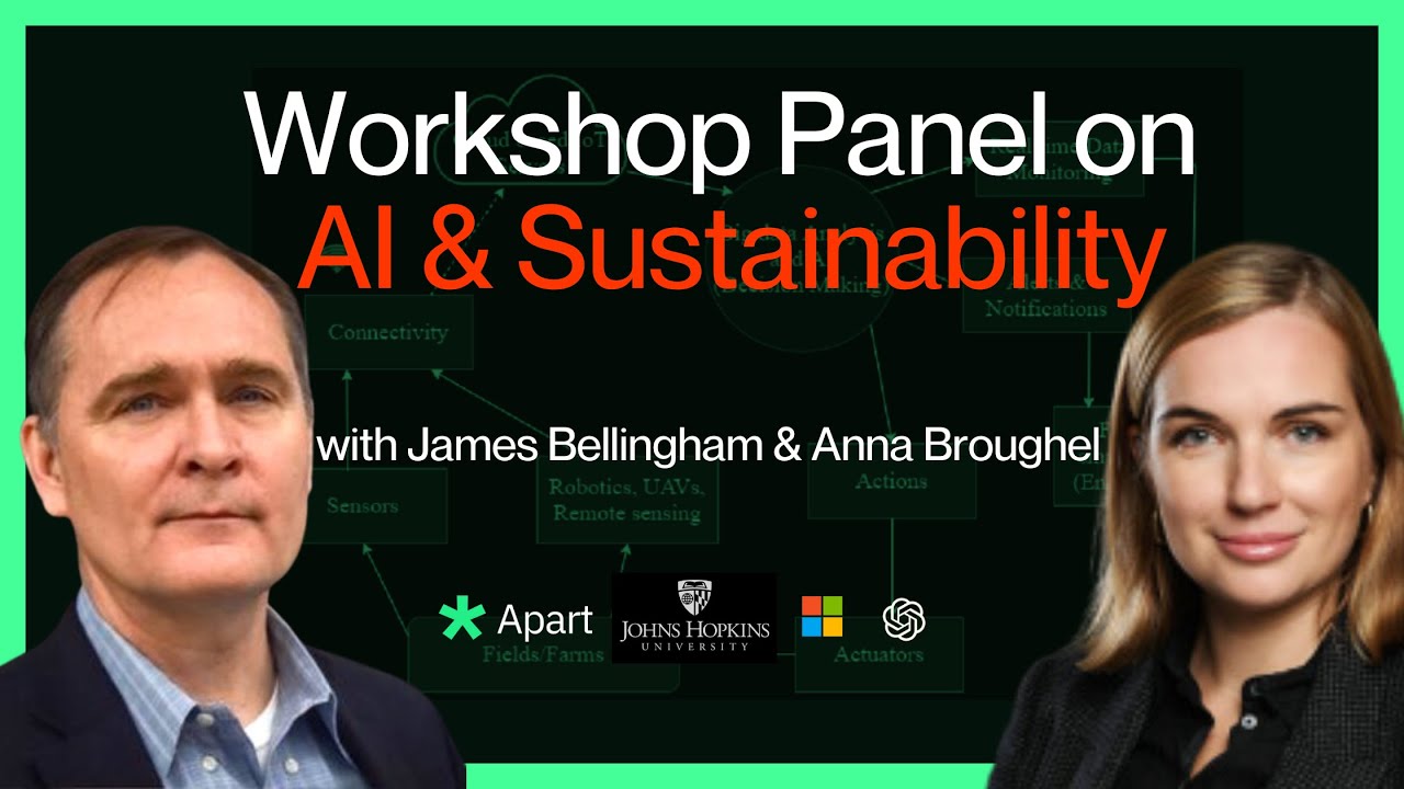 Workshop Panel on AI and Sustainability with James Bellingham and Anna Broughel - YouTube