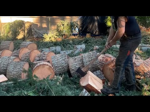 Hand splitting firewood, vintage chainsaws bucking logs - YouTube