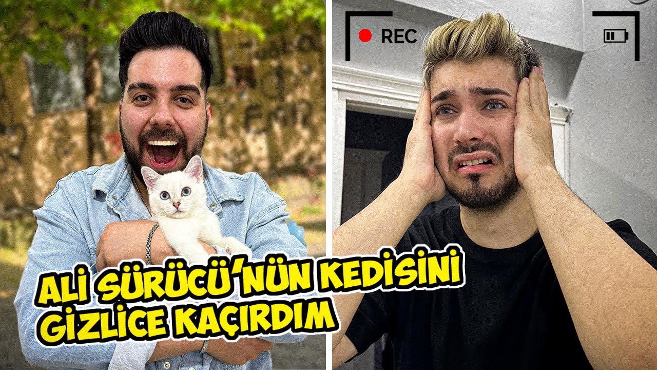 ALİ SÜRÜCÜ'NÜN KEDİSİNİ KAÇIRDIM !!!! @AliSurucu @HalilSuruucu - YouTube