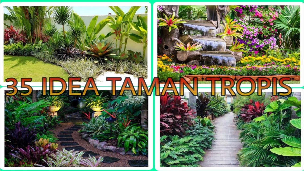 35 IDE TAMAN TROPIS ALA BALI | TAMAN KONSEP TROPIS - YouTube