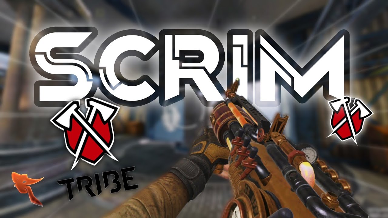 DESTROYING TRIBE GAMING in CODM... (PRO Scrims) - YouTube