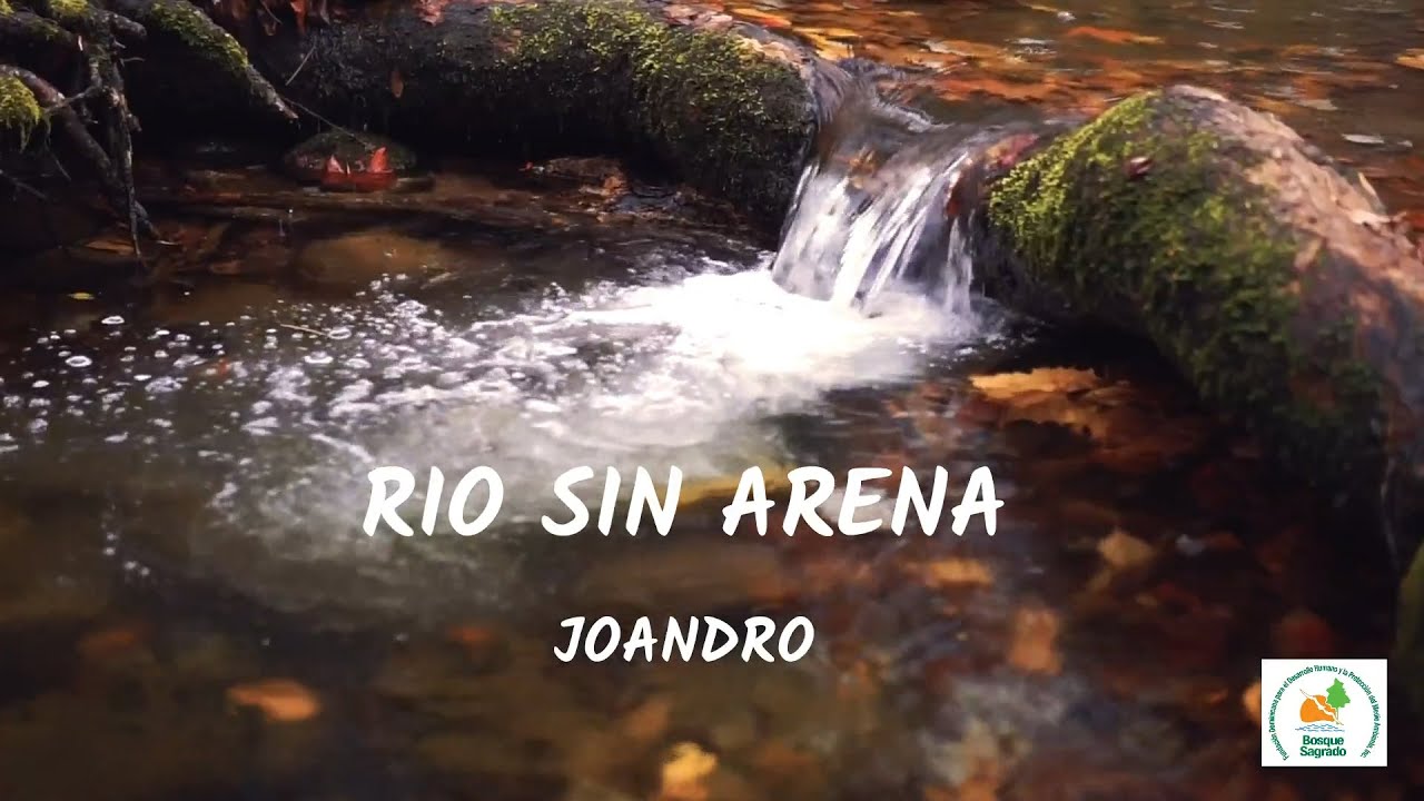 RIO SIN ARENA. JOANDRO - YouTube