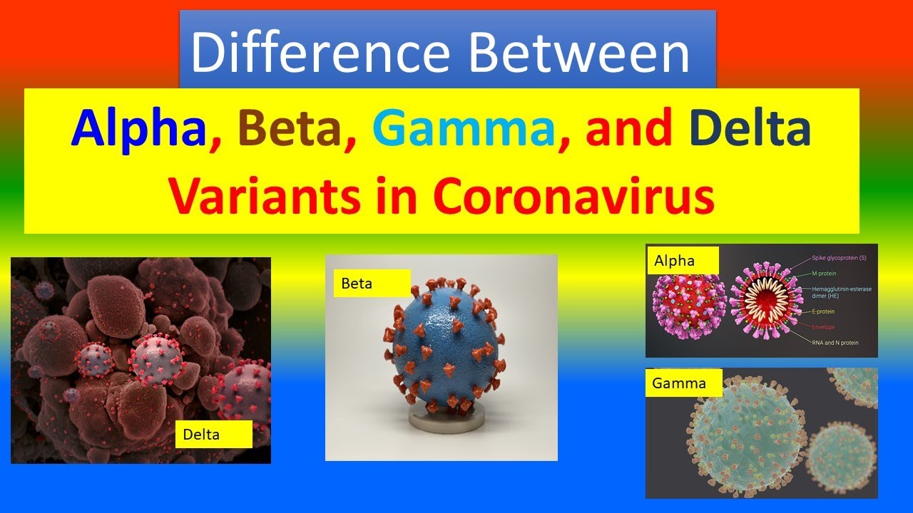 Difference Between Alpha, Beta, Gamma and Delta Variants in Coronavirus ...