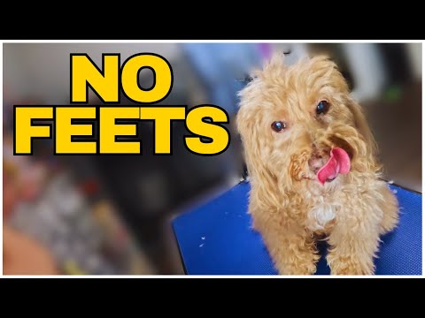 He Doesn’t Love Foot Work…