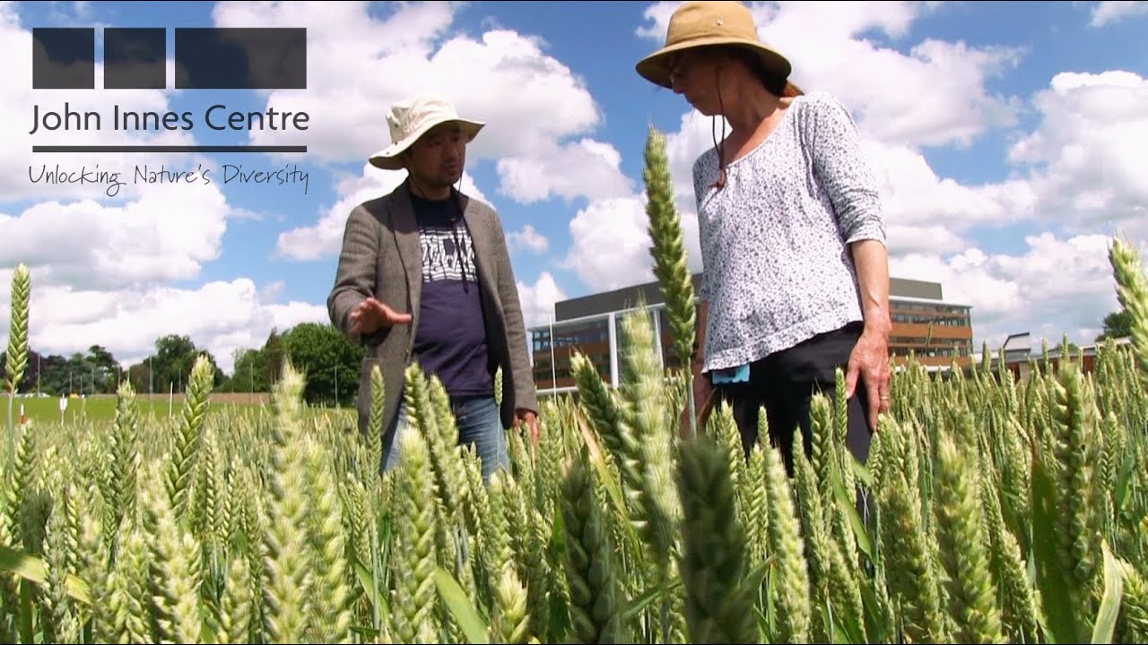 Field Experimentation at the John Innes Centre; Bringing Plant Science ...
