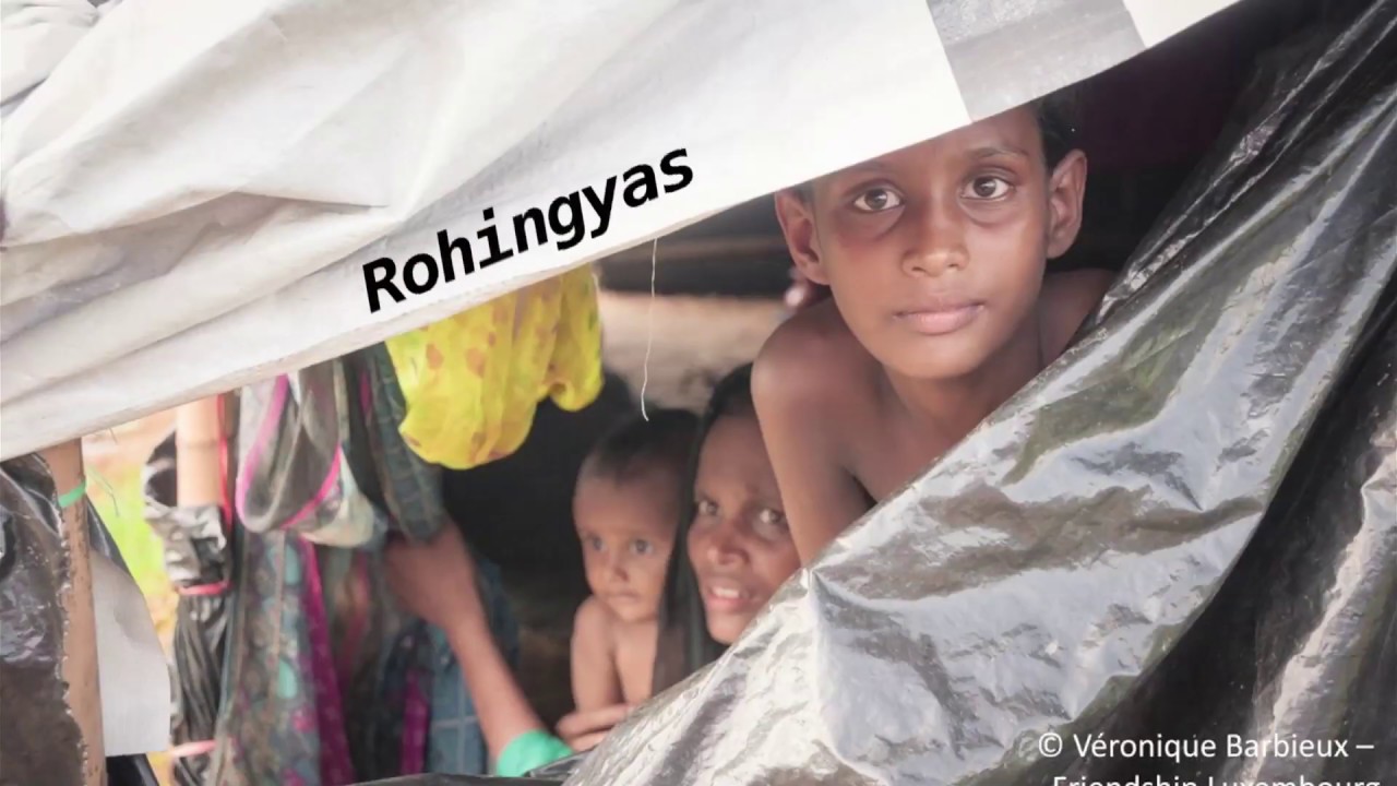 Introduction to FRIENDSHIP Organization - YouTube