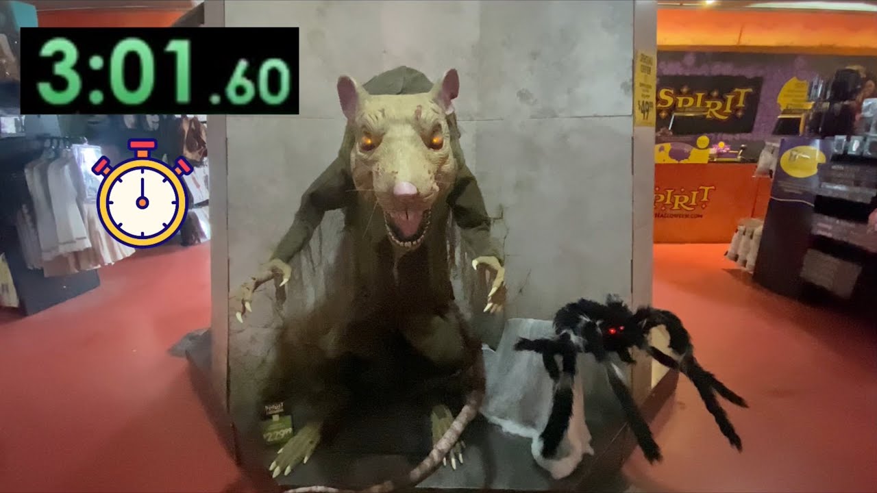 Fastest Spirit Halloween Tour I’ve ever done! Spirit Halloween 2025 ...