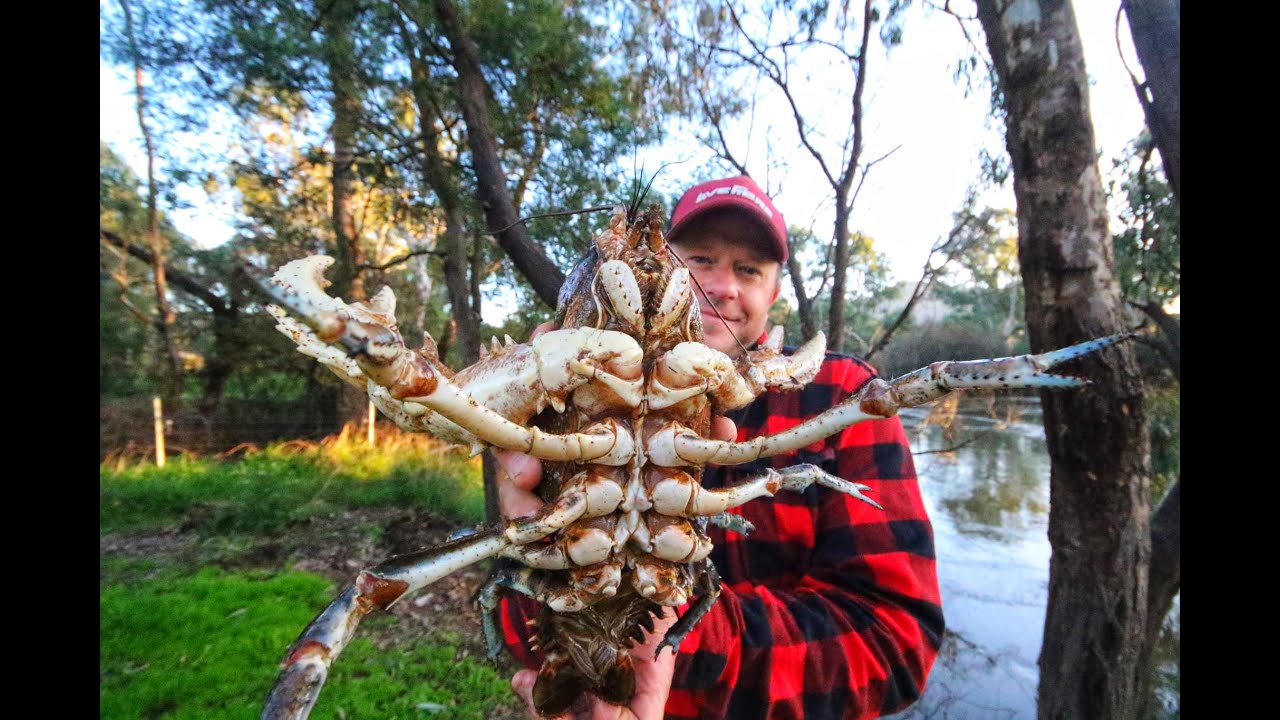 The search for Murray Crays - YouTube