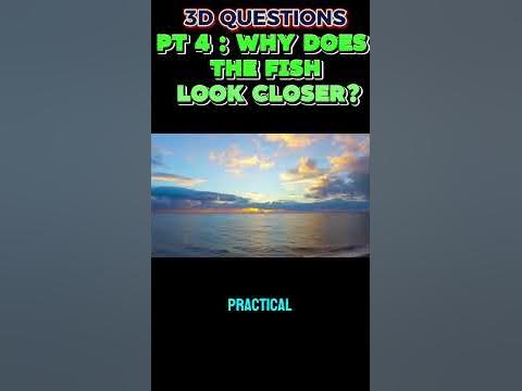 PART 4: Why Do Fish Look Closer Underwater? 🌊 Light Refraction ...