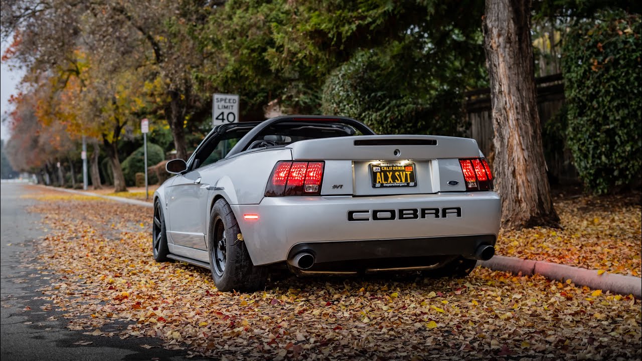 Preparing My SVT Cobra FOR ITS BUILT MOTOR *EPA WON’T LIKE THIS - YouTube