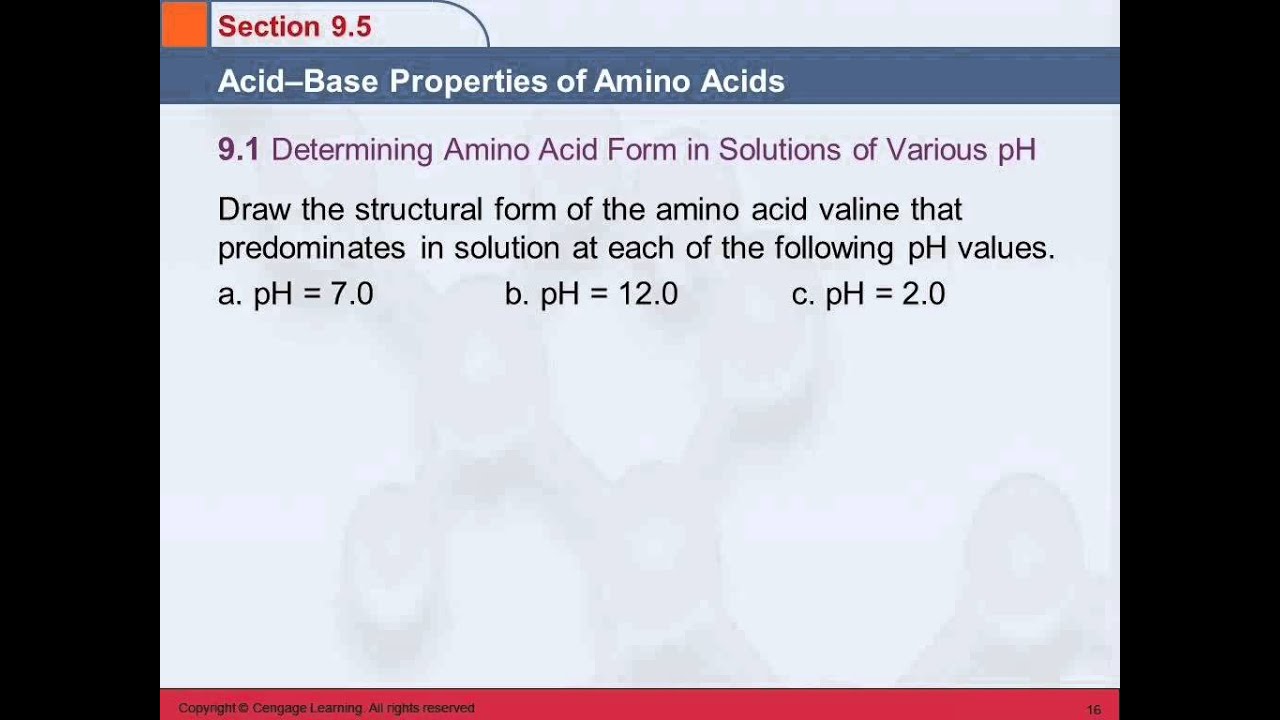 3B 9.5 Acid-Base Properties of Amino Acids - YouTube
