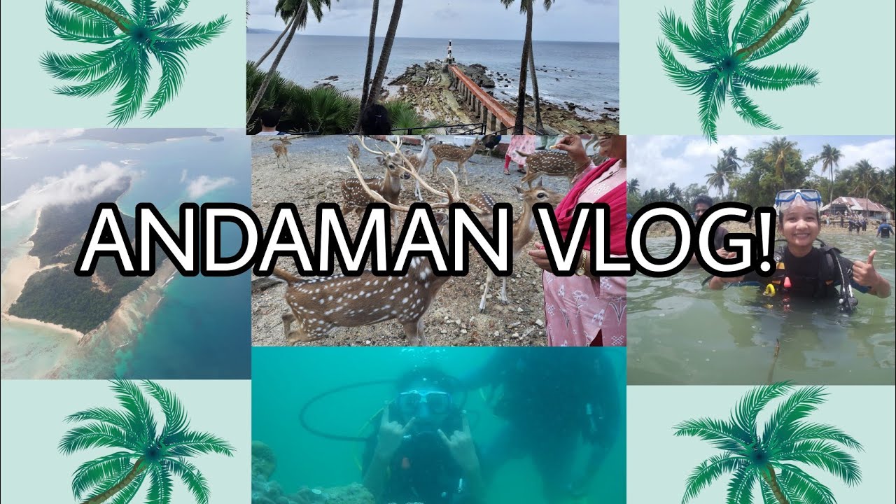 Andaman vlog | Part 1 | Tulu | My first vlog - YouTube