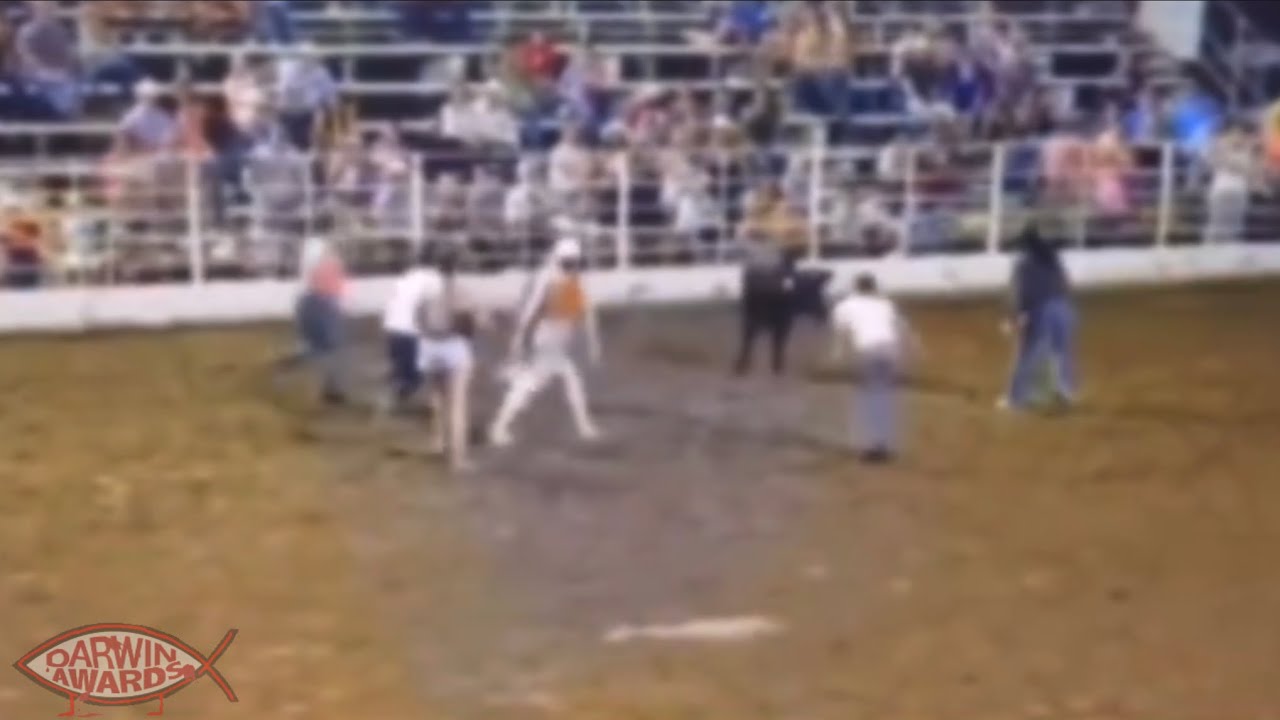 Grab the bull by the tail - YouTube