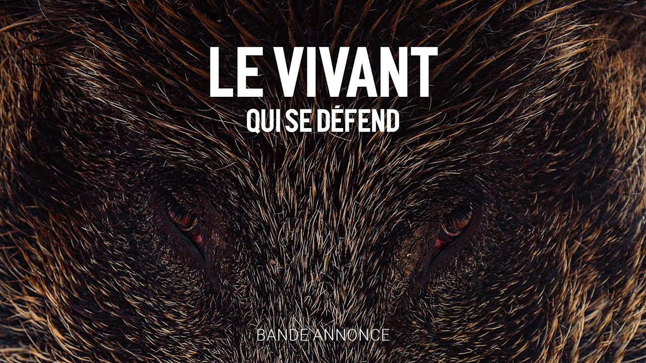 Le VIVANT qui se défend | Bande Annonce Officielle - YouTube