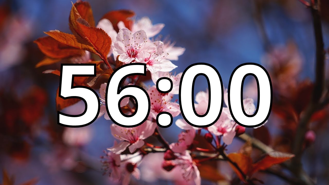 56 Minutes Timer with Music | Cherry Blossom Timer - YouTube