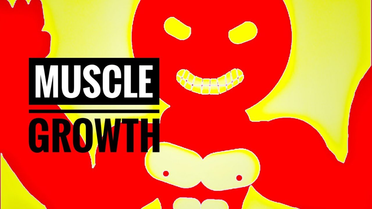 Muscle growth speed transformation ( Muskelwachstum Geschwindigkeits ...