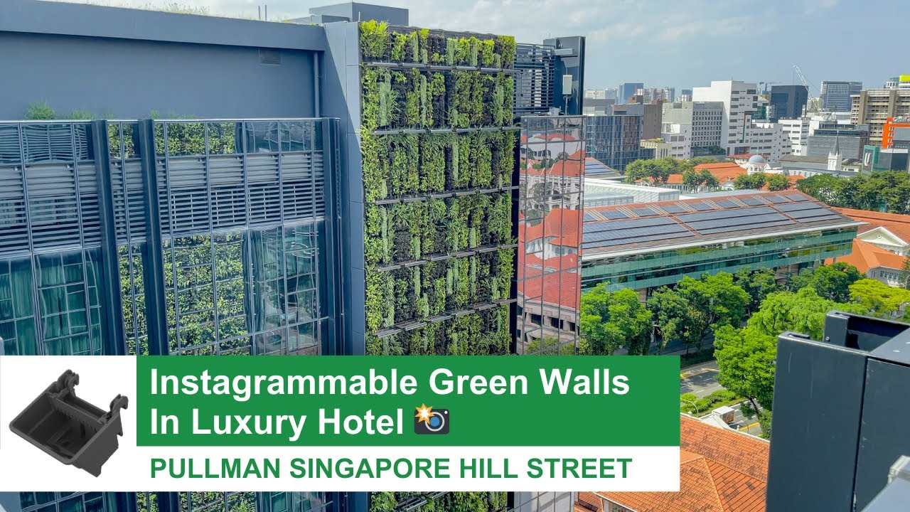 📸 𝐈𝐧𝐬𝐭𝐚𝐠𝐫𝐚𝐦𝐦𝐚𝐛𝐥𝐞 𝐆𝐫𝐞𝐞𝐧 𝐖𝐚𝐥𝐥𝐬 𝐢𝐧 𝐋𝐮𝐱𝐮𝐫𝐲 𝐇𝐨𝐭𝐞𝐥 | 🚂 𝐏𝐮𝐥𝐥𝐦𝐚𝐧 𝐒𝐢𝐧𝐠𝐚𝐩𝐨𝐫𝐞 𝐇𝐢𝐥𝐥 ...