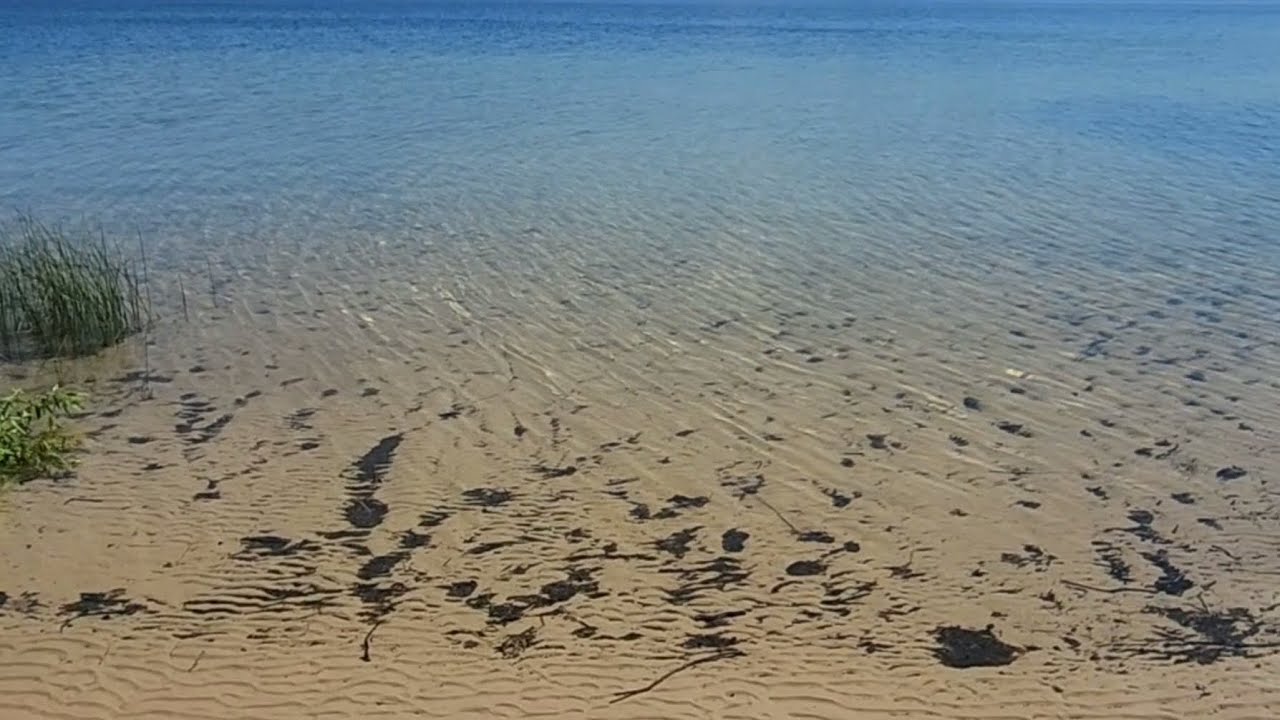 Pine Lake Campground - YouTube