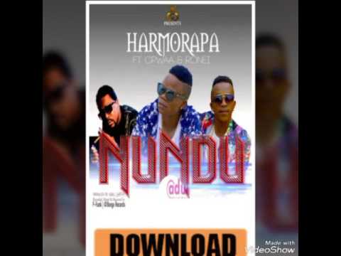 Hamorapa__nundu_ft_spwer_runei