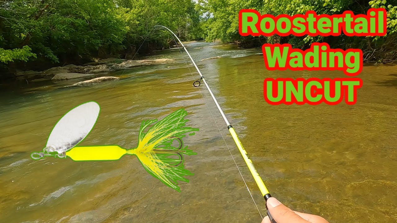 Creek Wading with Roostertail Lure - YouTube