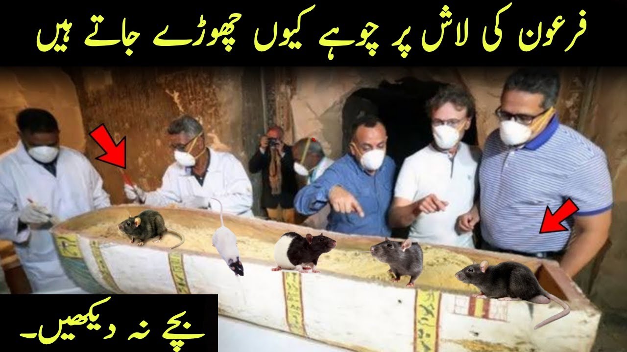 Firon Ki Lash Par Chuhe Kyun Choray Jate Hain | Research On Firon Body ...