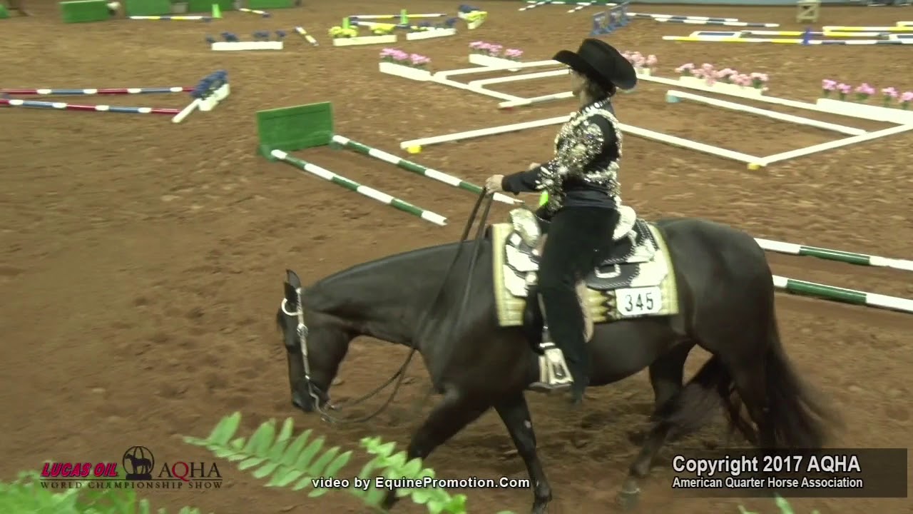 2017 AQHA Senior Trail - YouTube