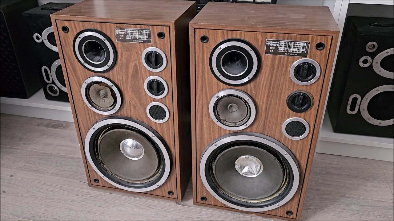 Unitra 75W (Tineret, Altus) speakers disassembly, modification and ...