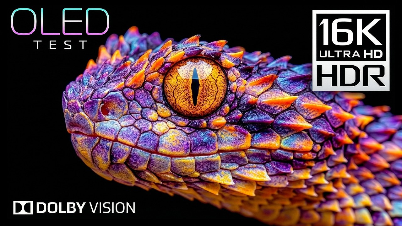 ULTIMATE 16K HDR Video 120 FPS | Dolby Vision OLED Test Demo (4K/8K TV ...