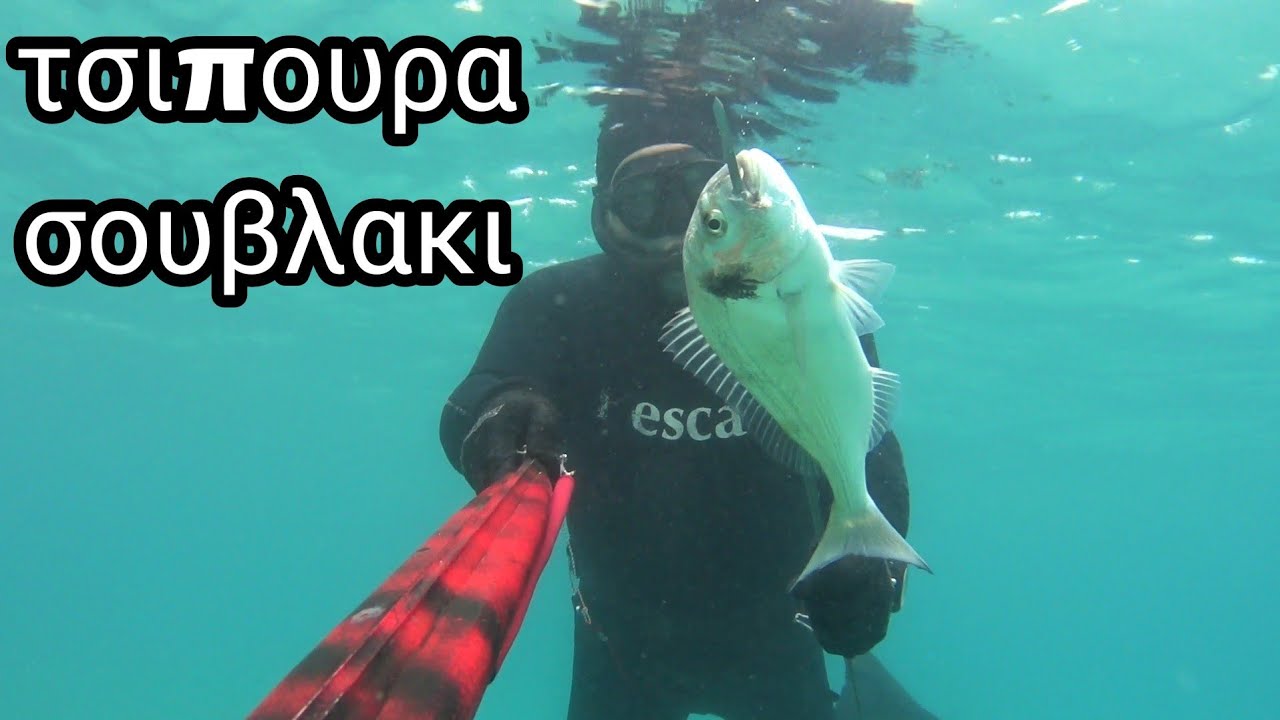 ΡΗΧΟ ΚΑΡΤΕΡΙ#ΑΜΑ ΣΕ ΘΕΛΕΙ ΟΜΩΣ ΕΕΕ;;#😁😁😁 - YouTube