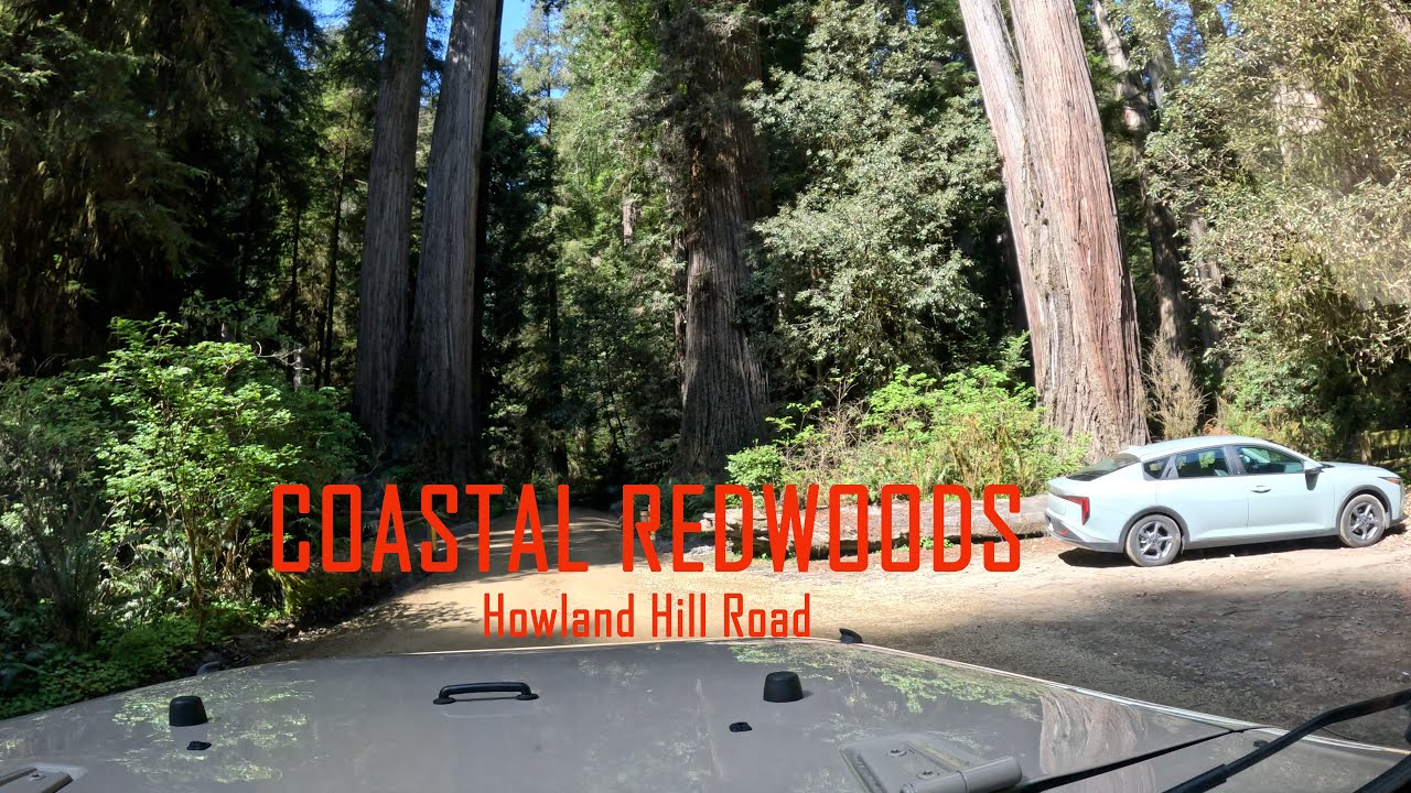 Howland Hill Road – The Most Beautiful Drive Through the Redwoods - YouTube
