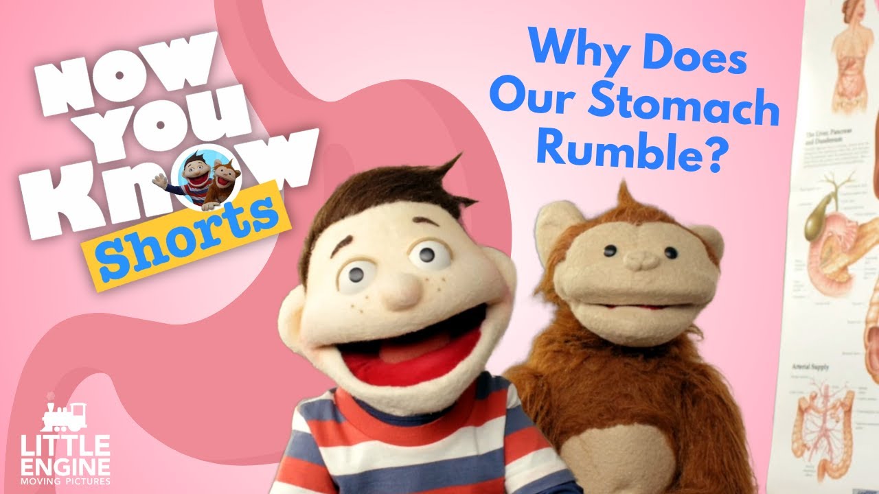 Why Does Our Stomach Rumple? 🩻 | Now You Know | Learning for Kids 🧑🏻🐵 ...