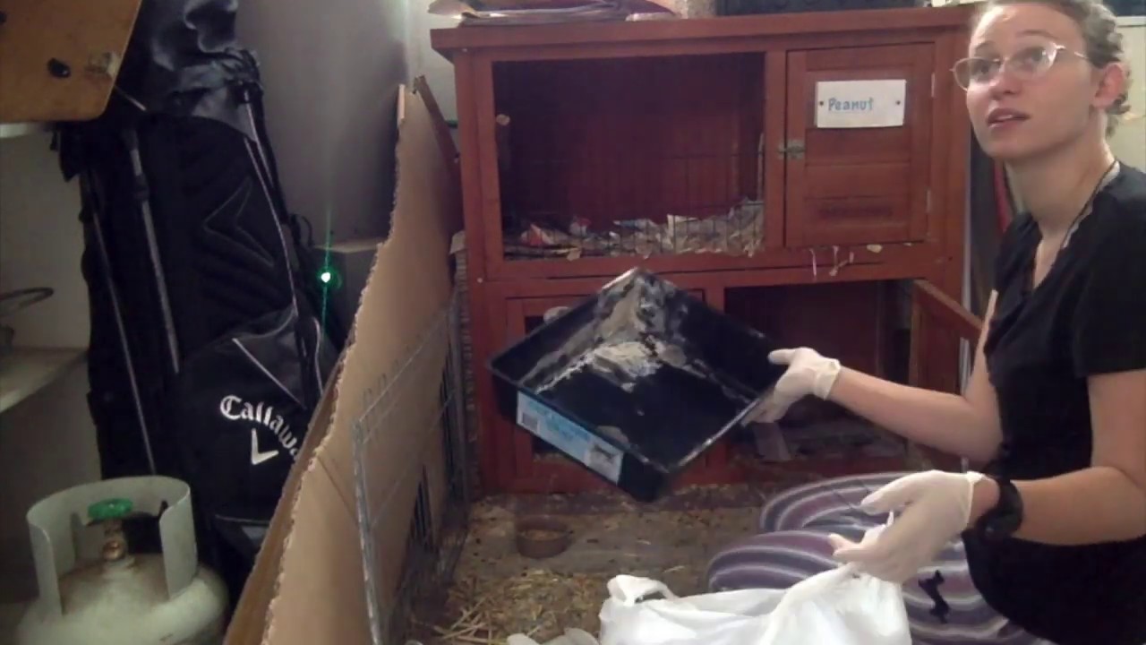 Cleaning out an Animal enclosure Part 3/3 - YouTube