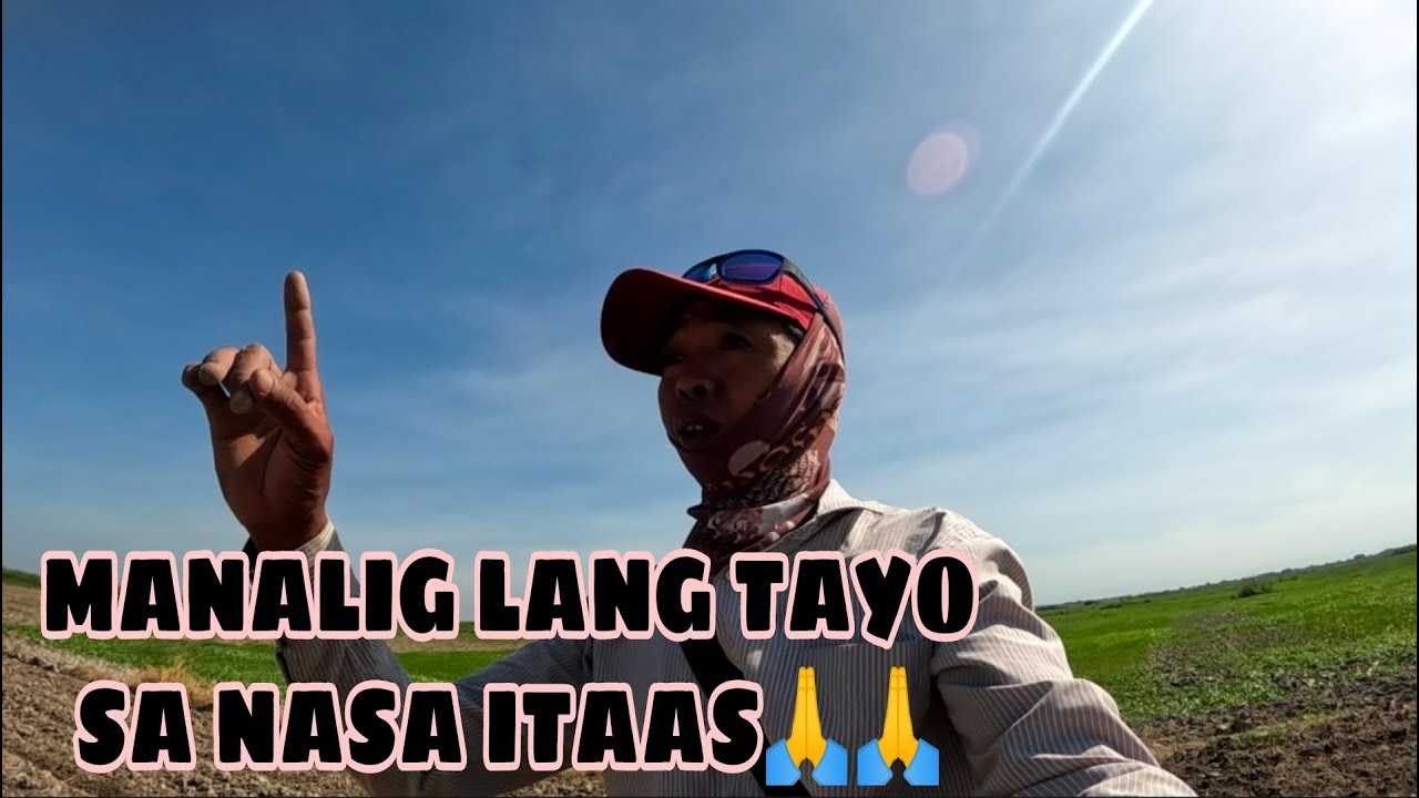 VLOG572 NAKAPAG PATANIM NA TAYO NG MAIS NA PATUKA🌽🌽 - YouTube