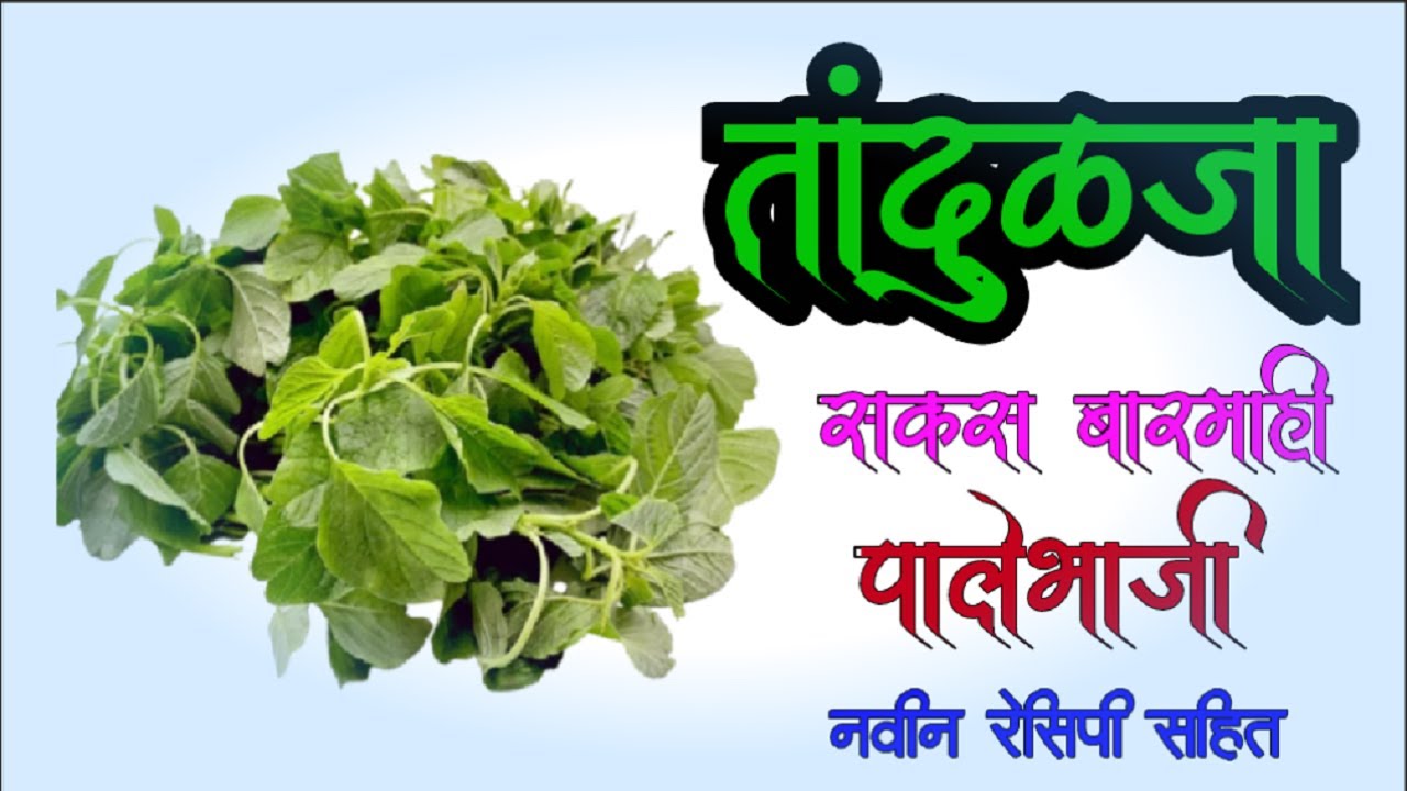 Tandulaja vegetable with recipes तांदुळजा पौष्टिक बारमाही पालेभाजी ...