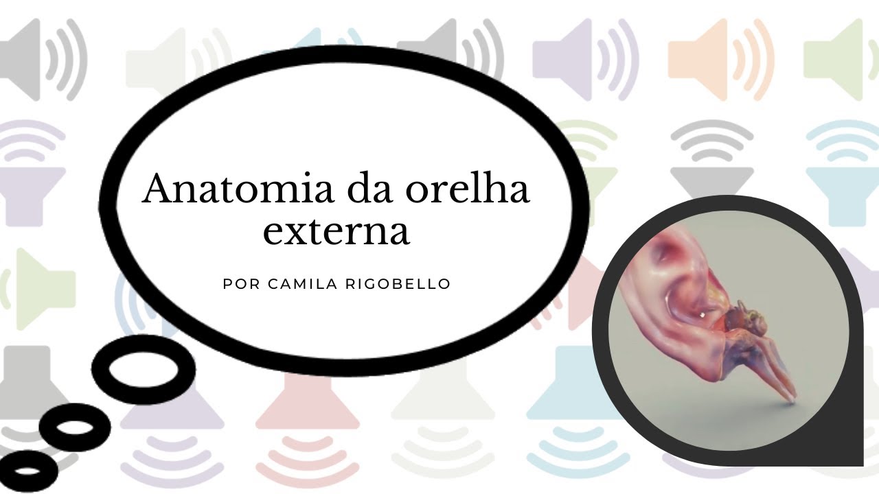 Anatomia da orelha externa - YouTube