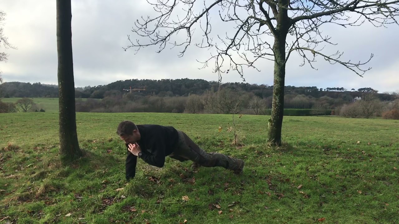 Front Plank Shoulder Taps - YouTube