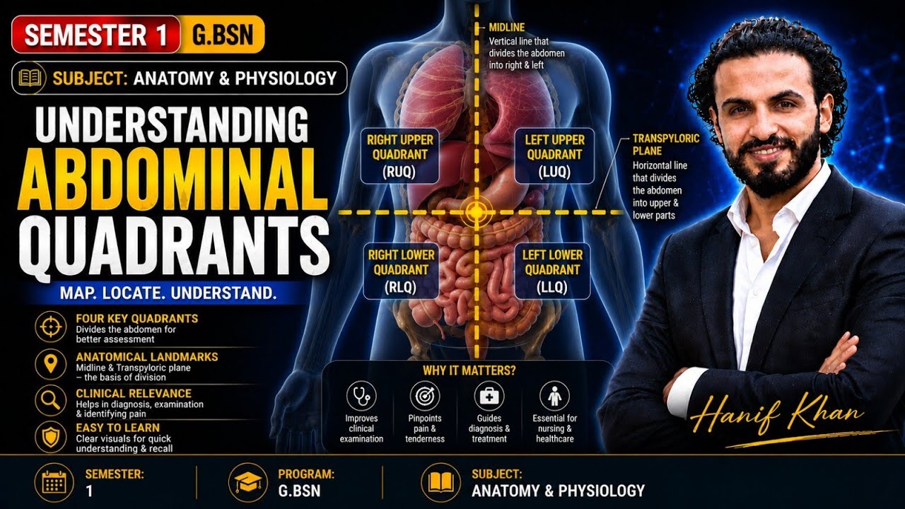 Abdominal Quadrants: A Complete Guide to Organs & Pain Locations ...