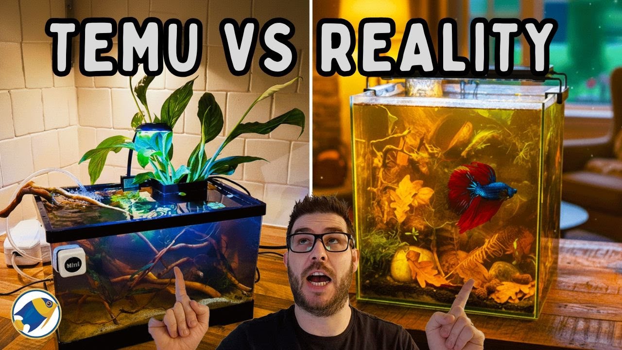 Temu’s Aquarium vs. The Tank I Actually Recommend! - YouTube