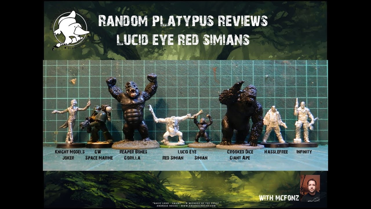 RP Review: Lucid Eye 28mm Red Simians - YouTube