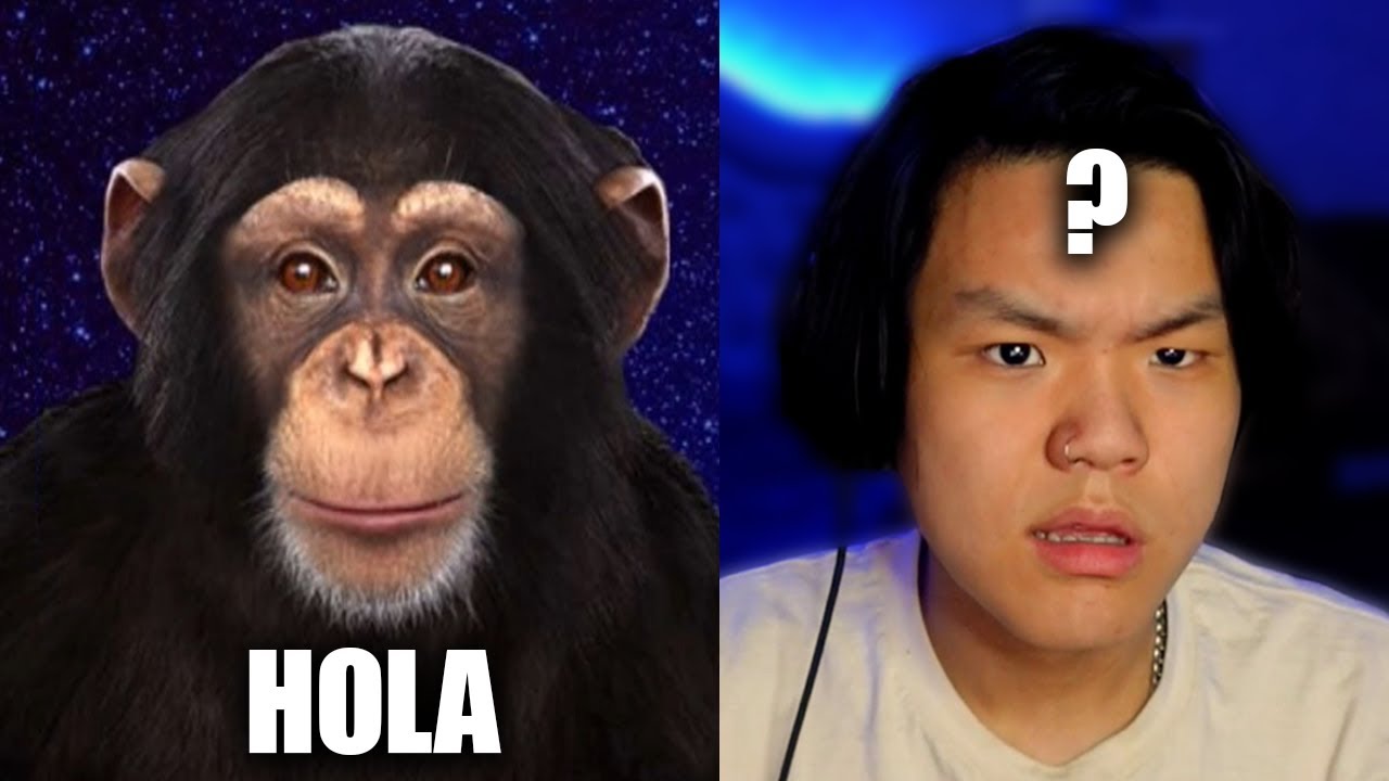 hablando con un mono - YouTube