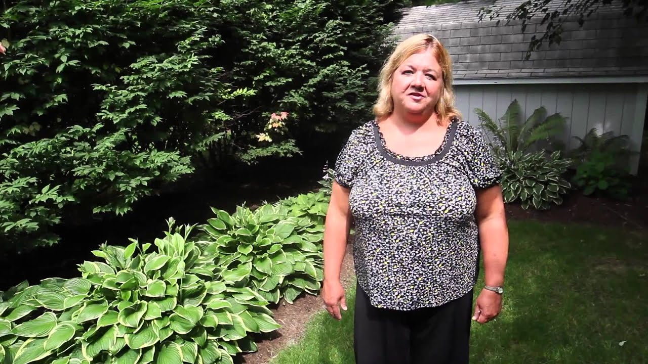 Meet Denise Evans, Realtor with Cutler Real Estate - YouTube