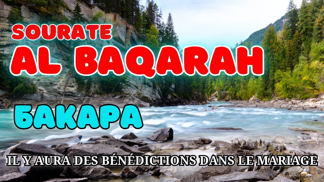 Surah Al Baqarah. Surja el Bekare - YouTube