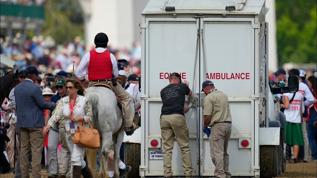 "Doc" Discusses: The Equine Necropsy and Death Investigation Process ...