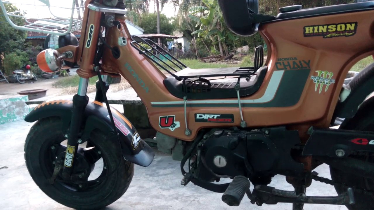 Chaly cam kiểng - YouTube