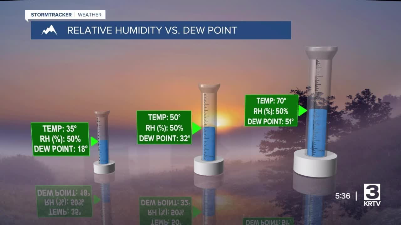 Understanding relative humidity and dew point - YouTube