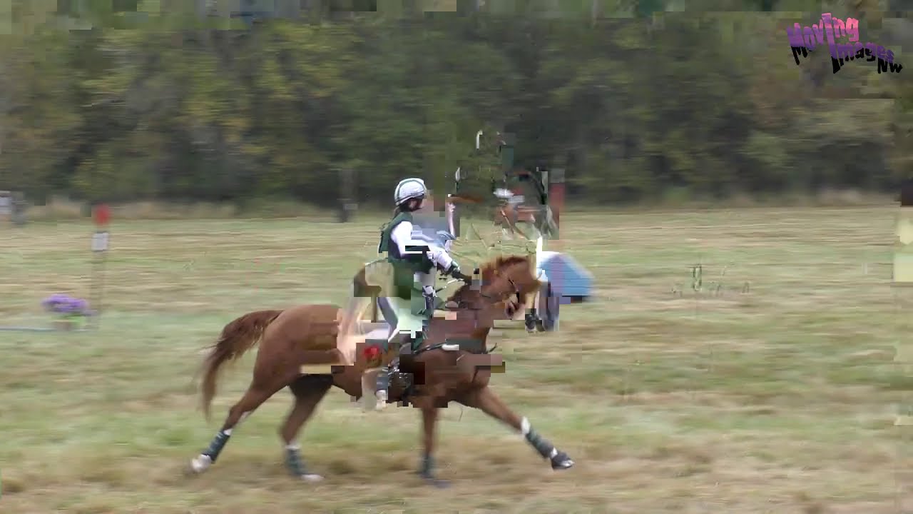 Alisa Gilbert; September 2020 Caber Farm Horse Trials - YouTube