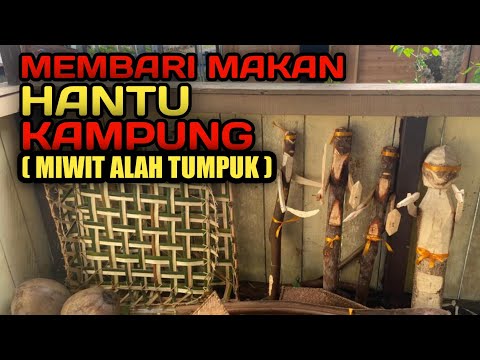 Ritual adat Ipaket ( Itampadi Pisan ) Dayak maanyan Desa Sarapat