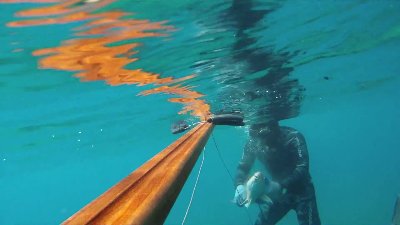 Spearfishing Hawaii Uhu with GoPro HD and Flat Lens Housing From "Eye ...