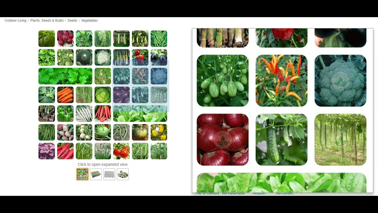 Vegetable seeds from ONLY FOR ORGANIC | 45 varieties of vegetables ...